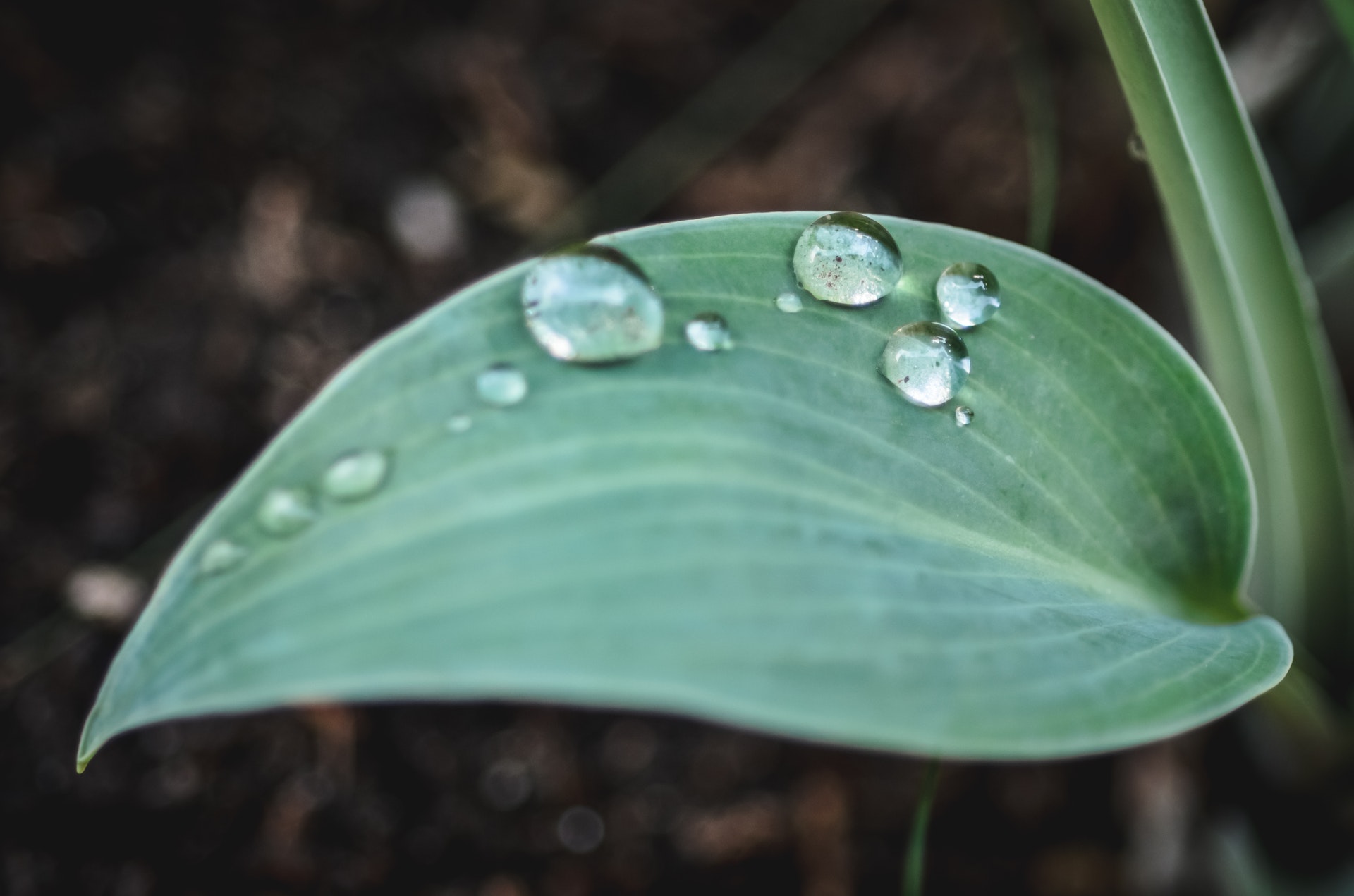 3 Tips For Summer Indoor Humidity - Earth Temp HVAC